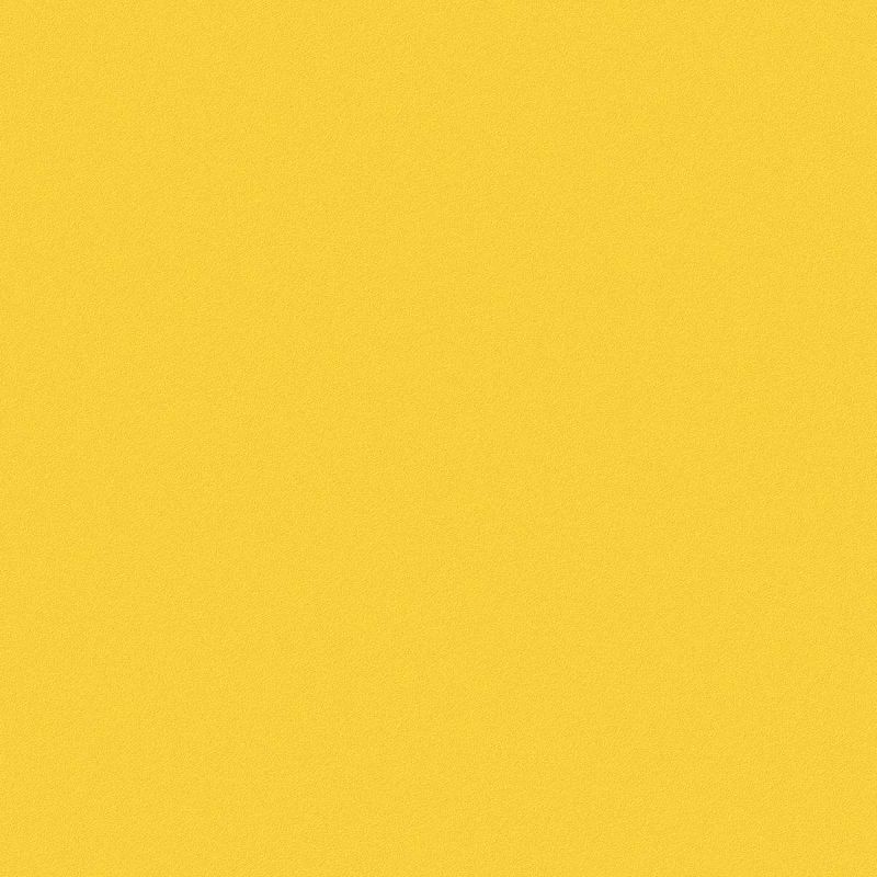 RS87 – Surfacequest