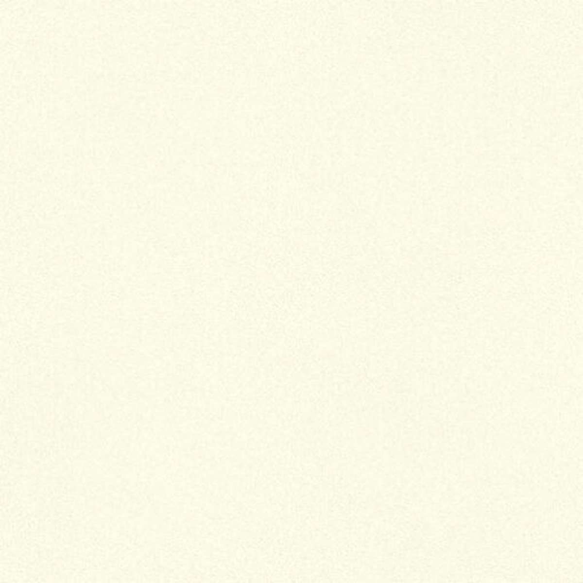 BC-040 – Surfacequest