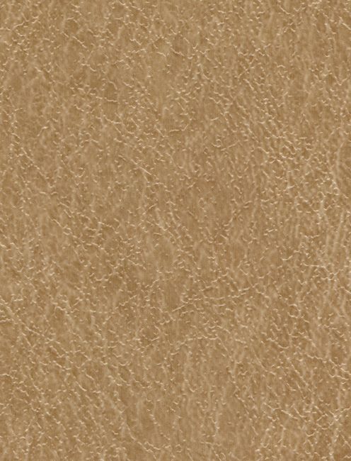 K-277 – Surfacequest