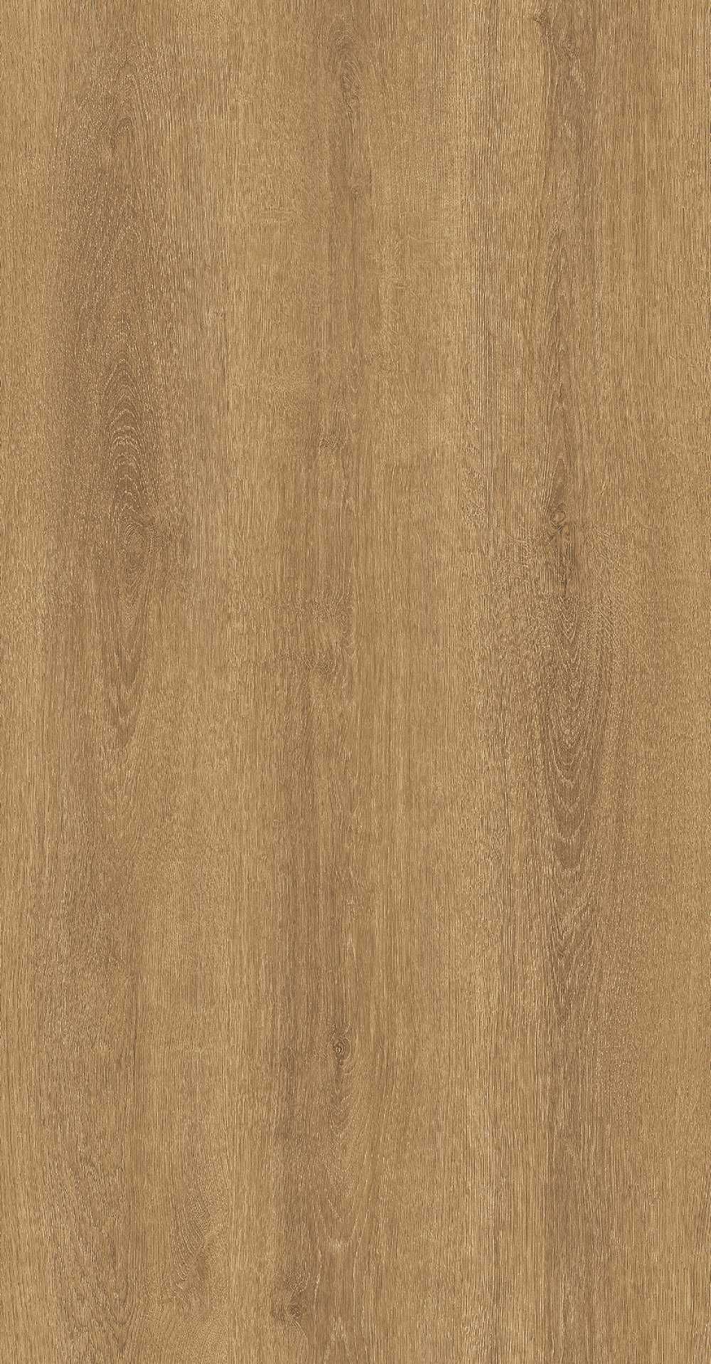 BW004 – Surfacequest