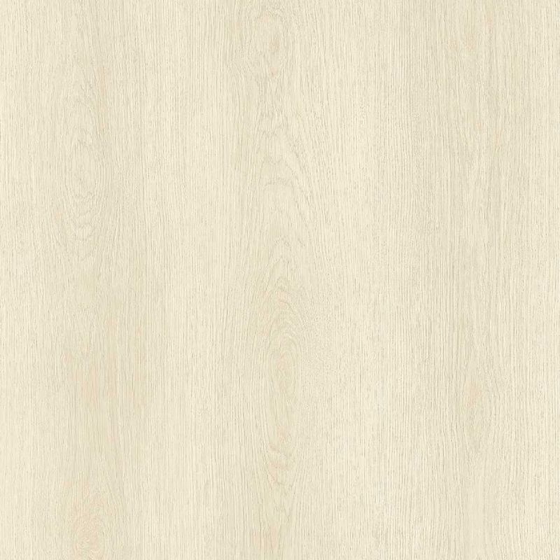 VW-2556C – Surfacequest