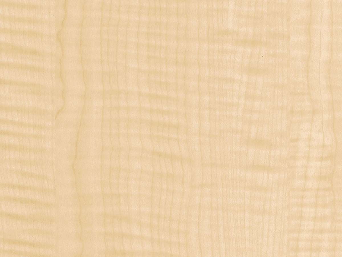 VW-18042C – Surfacequest