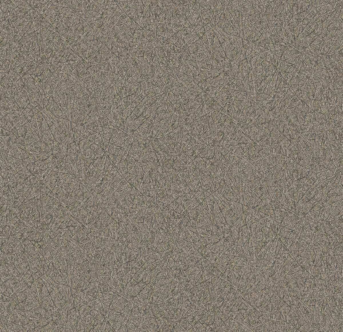 EL044 – Surfacequest