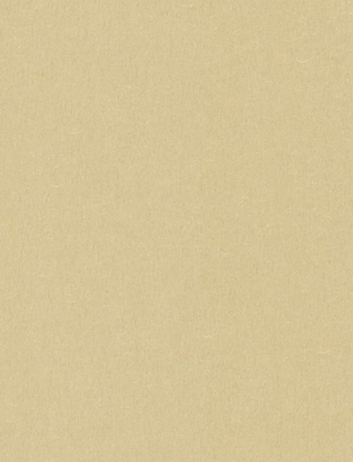 BR-291 – Surfacequest