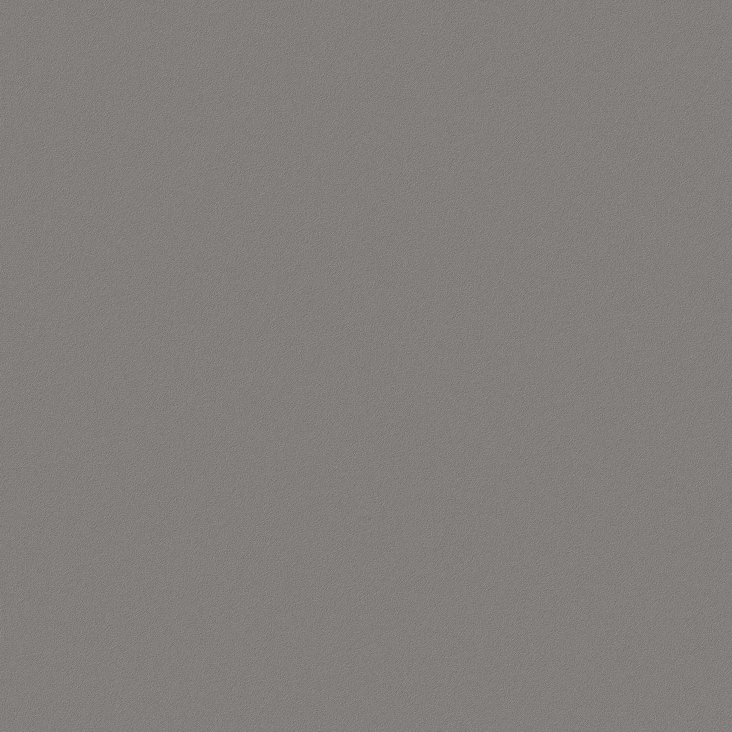 RS55 – Surfacequest