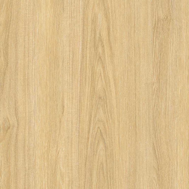 VG-558A – Surfacequest