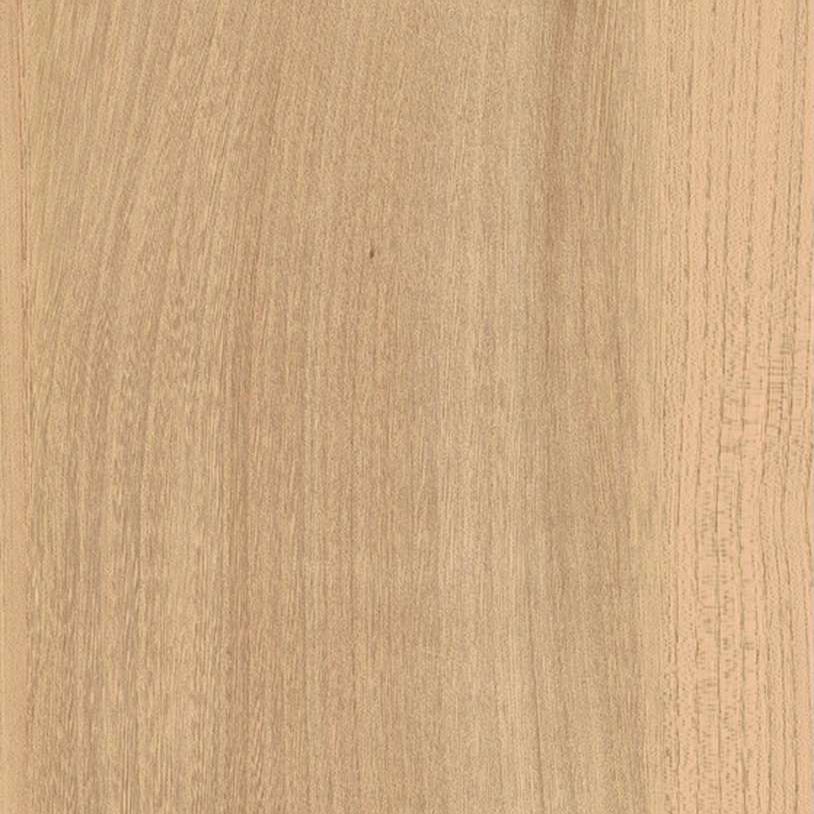 VW-18005A – Surfacequest