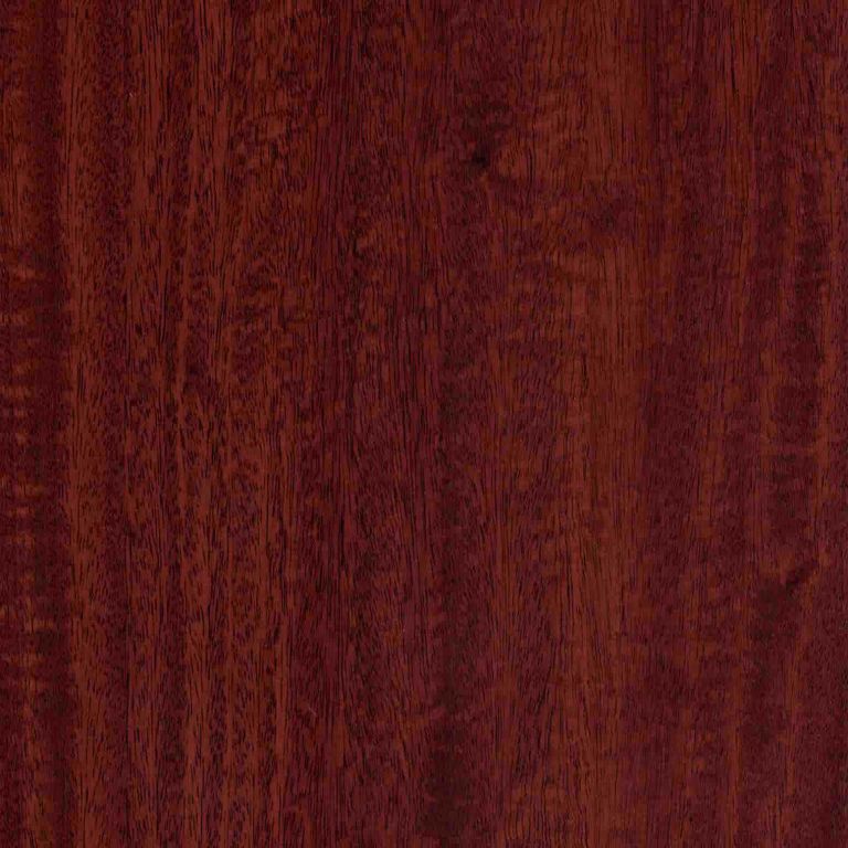 VBW-18304A – Surfacequest