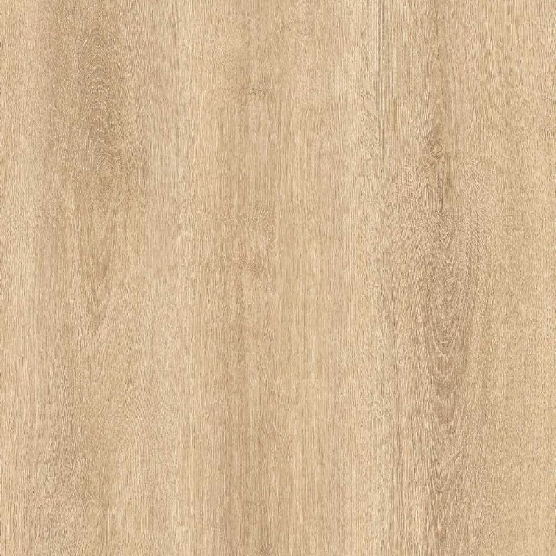 VG-18012A – Surfacequest