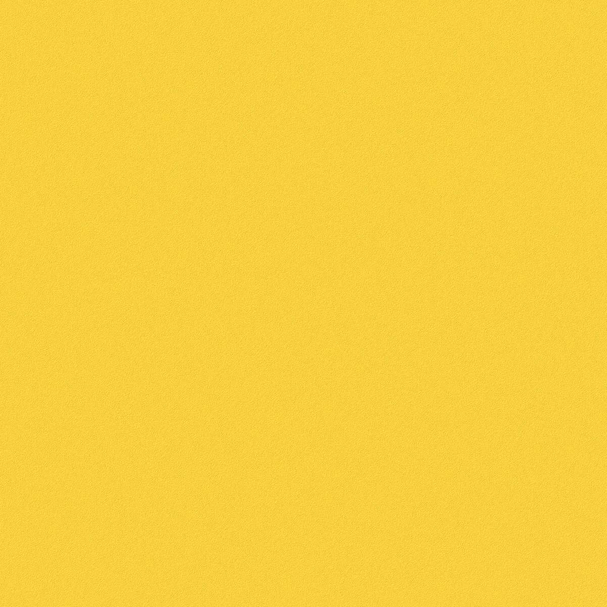 RS87 – Surfacequest