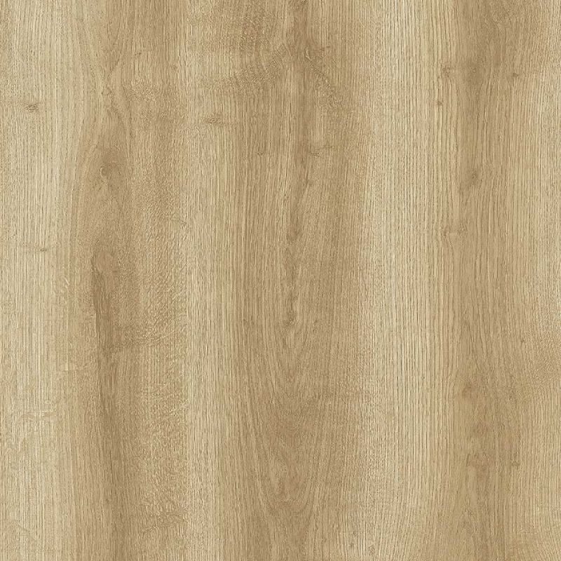 VW-399A – Surfacequest