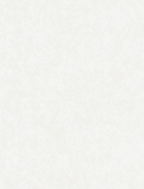 DA-40 – Surfacequest