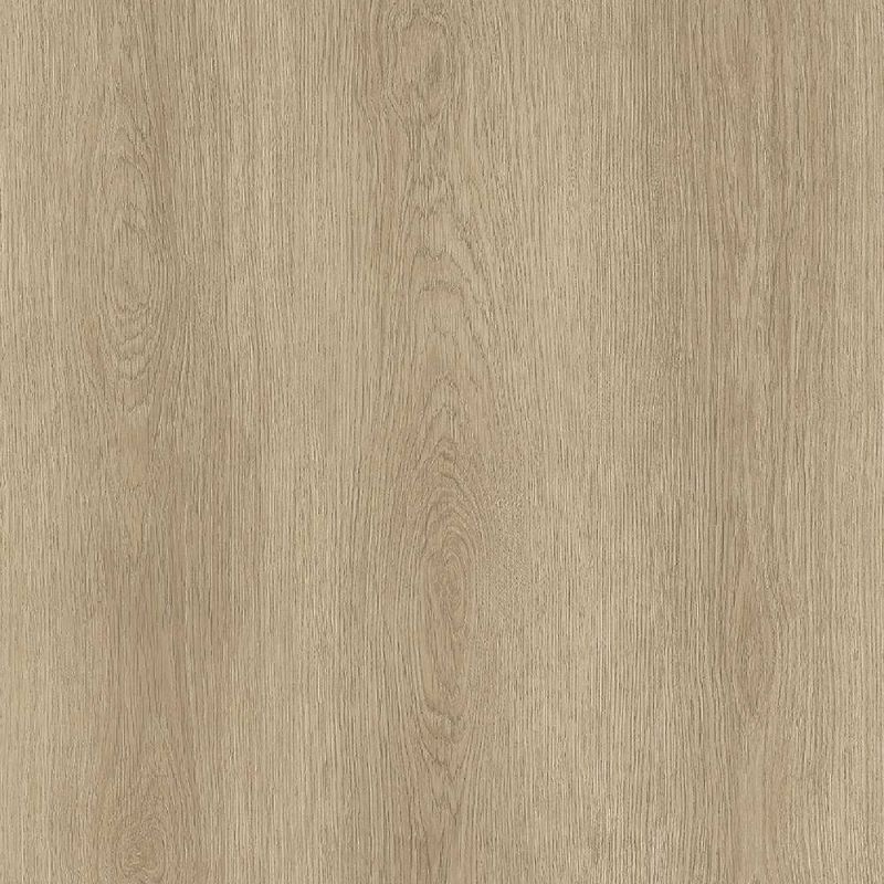 VW-420A – Surfacequest