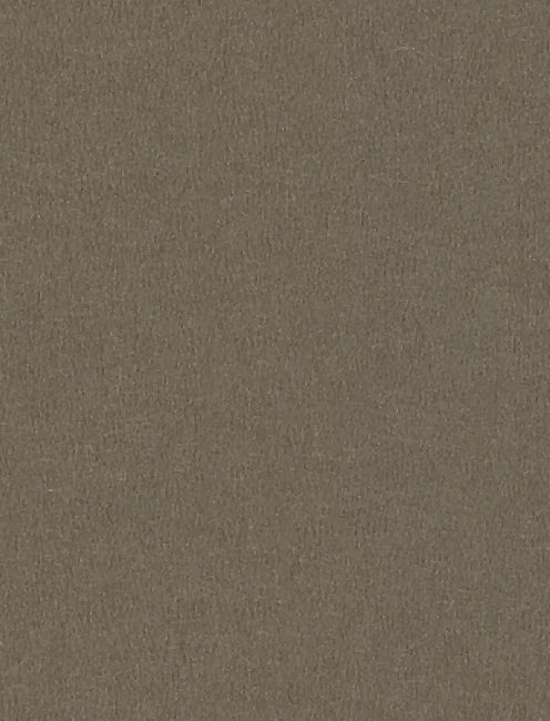 BR-601 – Surfacequest