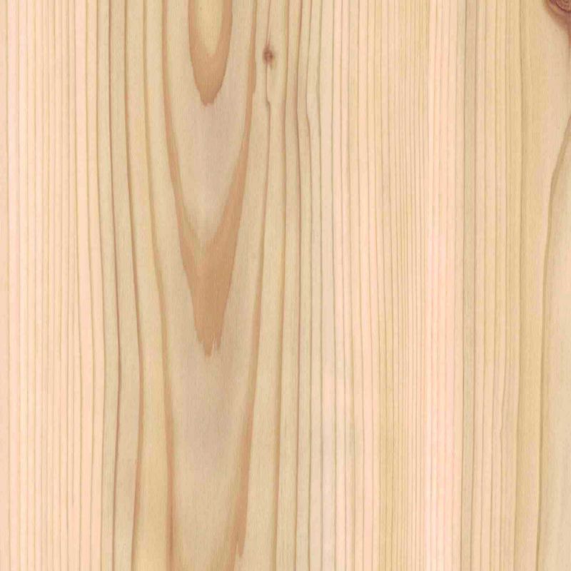 VEX-544M – Surfacequest