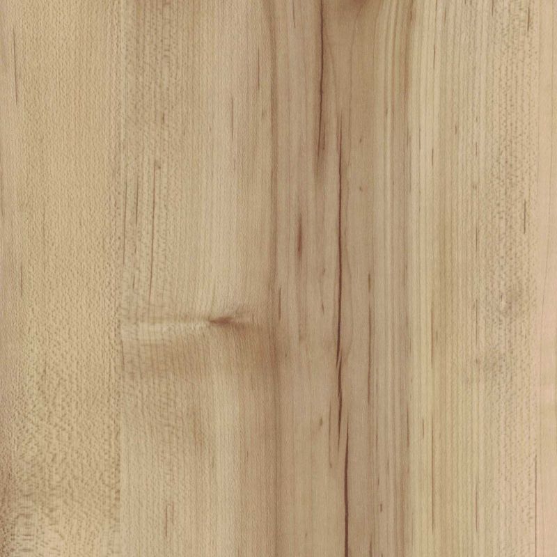 NW119 – Surfacequest